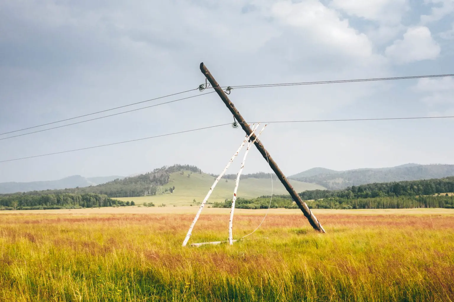 Why Do Wooden Utility Poles Fail? | Polesaver