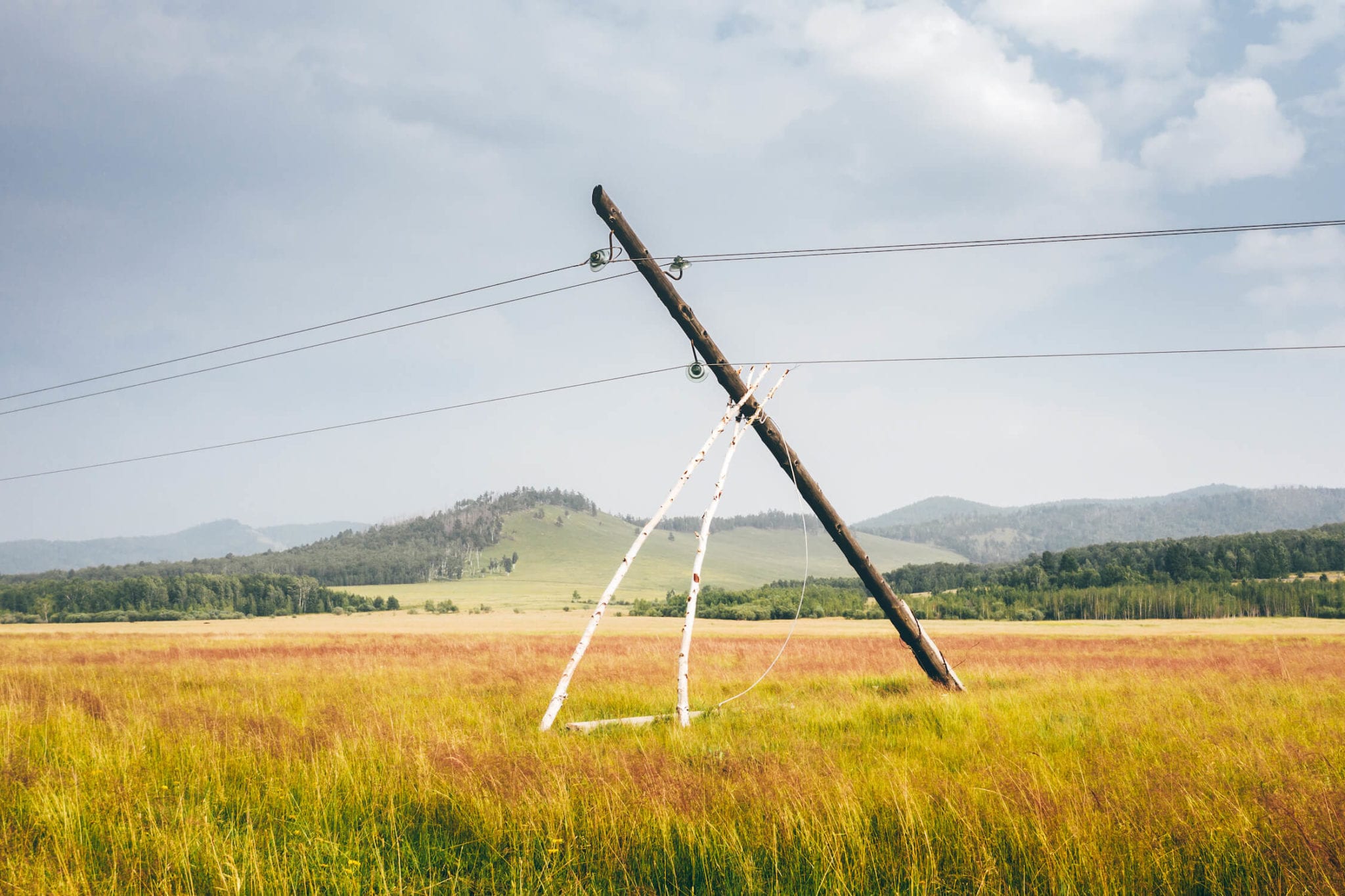 Why Do Wooden Utility Poles Fail? | Polesaver