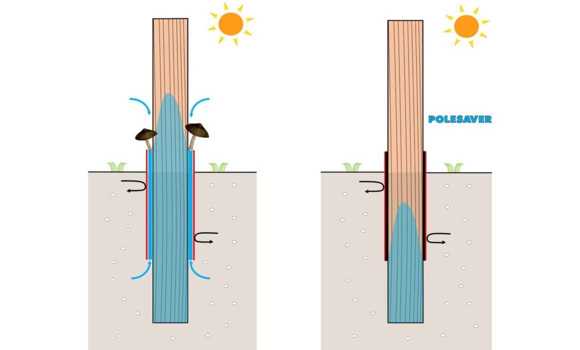 Polesaver Blog & News