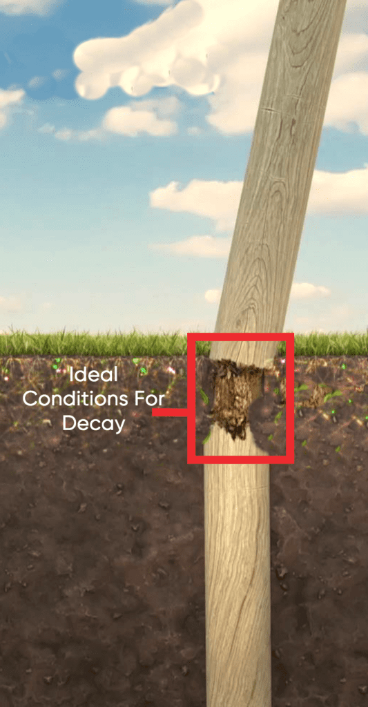 Why Do Wooden Utility Poles Fail? | Polesaver