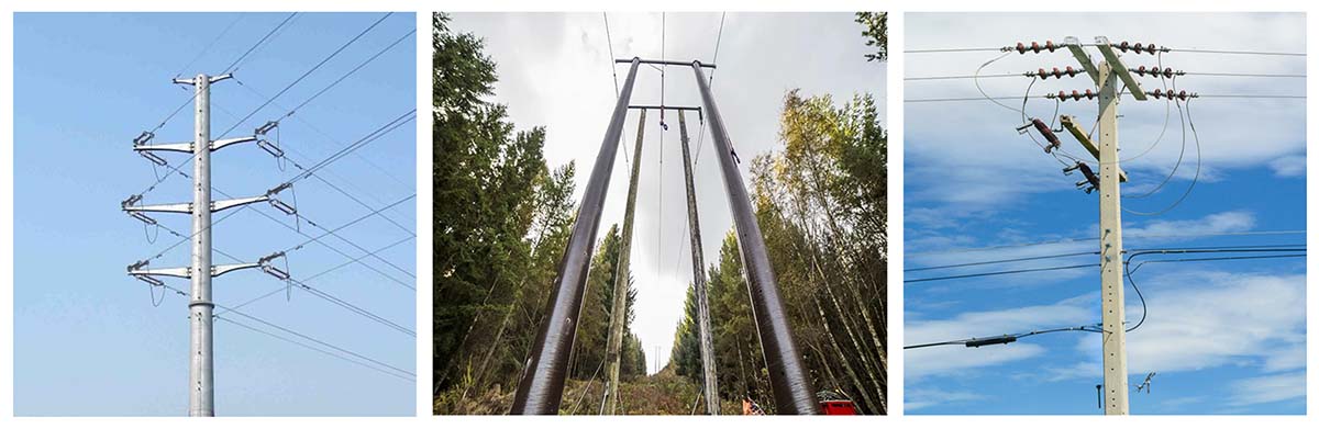 The Creosote Ban in Europe: What You Need to Know