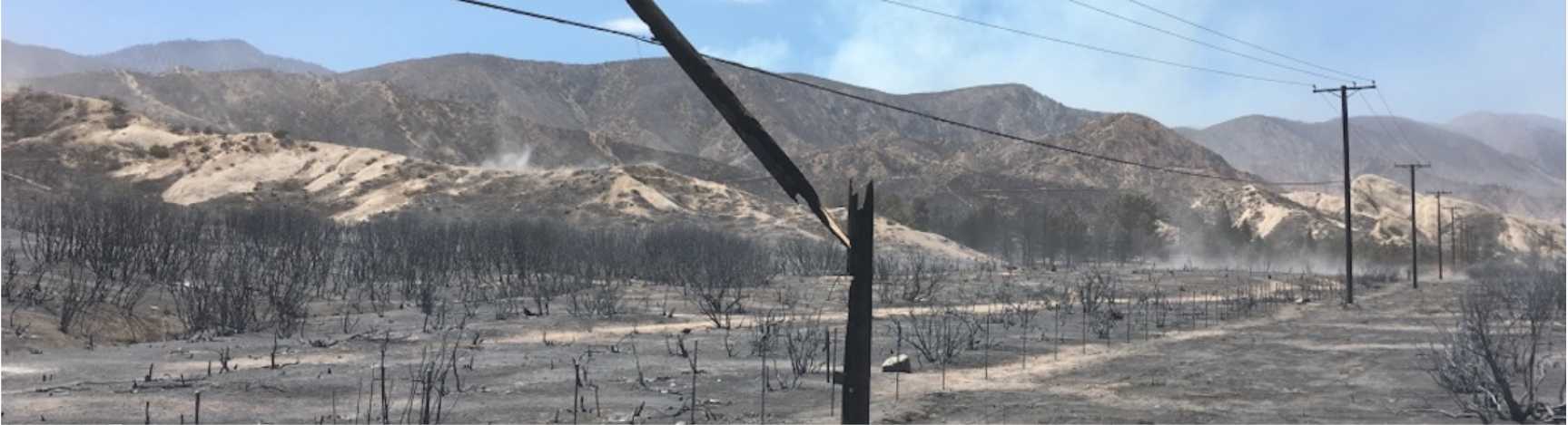 Polesaver Blaze-Guard - Utility Pole Wildfire Protection Fabric