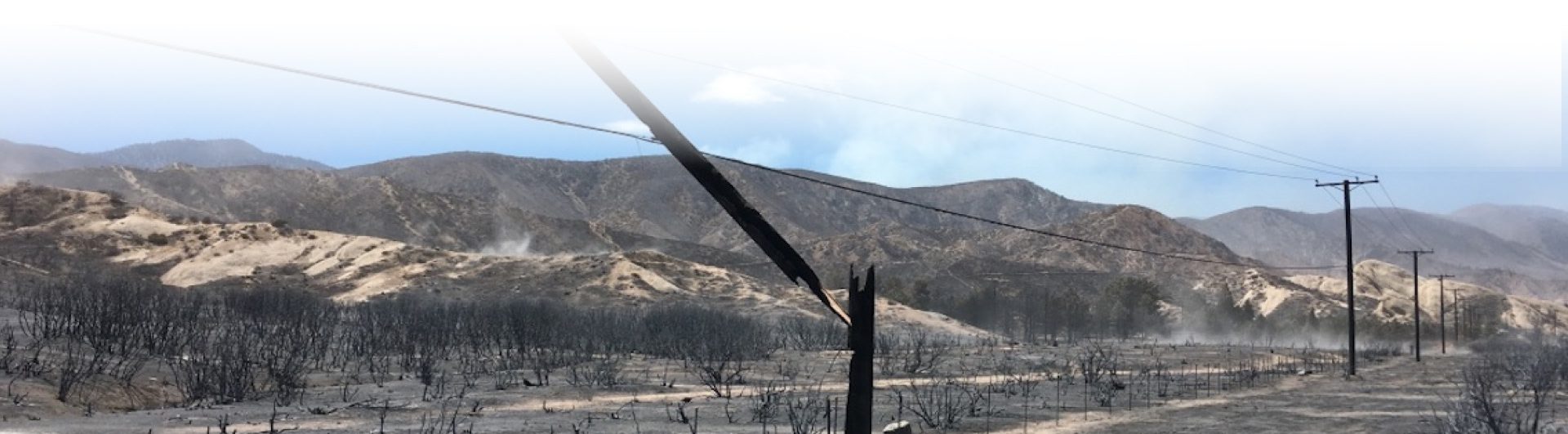 Polesaver Blaze-Guard™ | Fire Protection for Utility Poles | Polesaver
